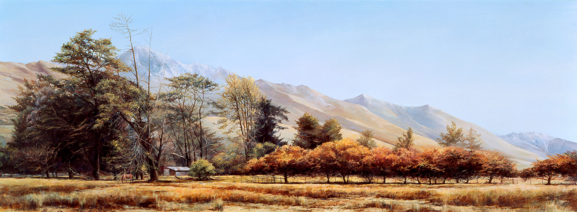 Craig S Primrose QSM - NZ Portrait & Landscape Artist